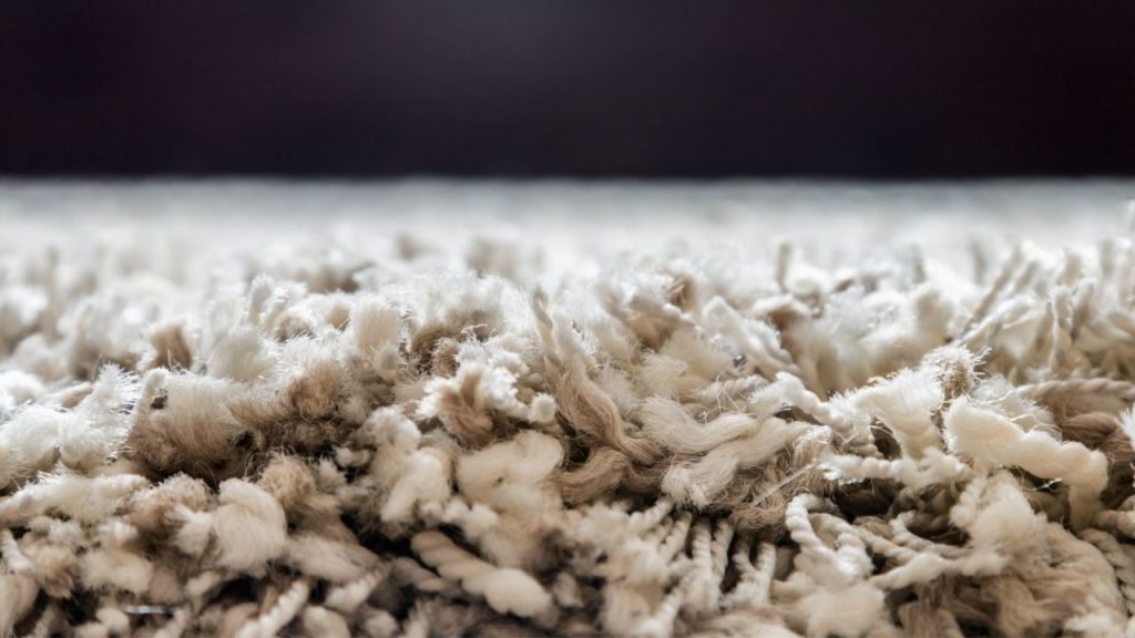 7 Carpet Fiber Types You Should Consider for Your Place