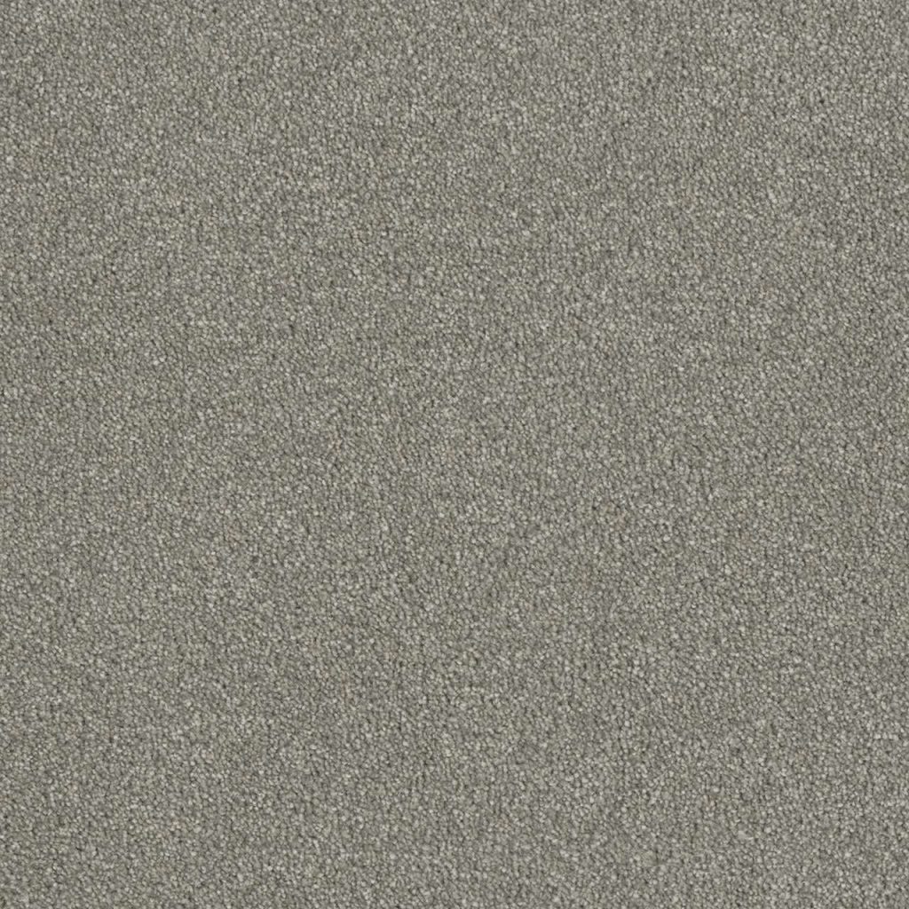 Pluto - JG Carpet Contractors, LLC